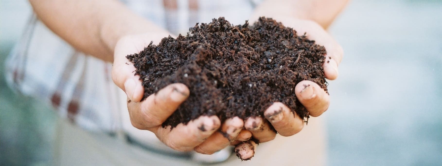 Dicas de como fazer a sua Composteira Doméstica - Terra Lar